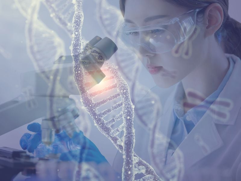 New Zealand's Gene Technology Bill and the Risks of BioTechnology ...